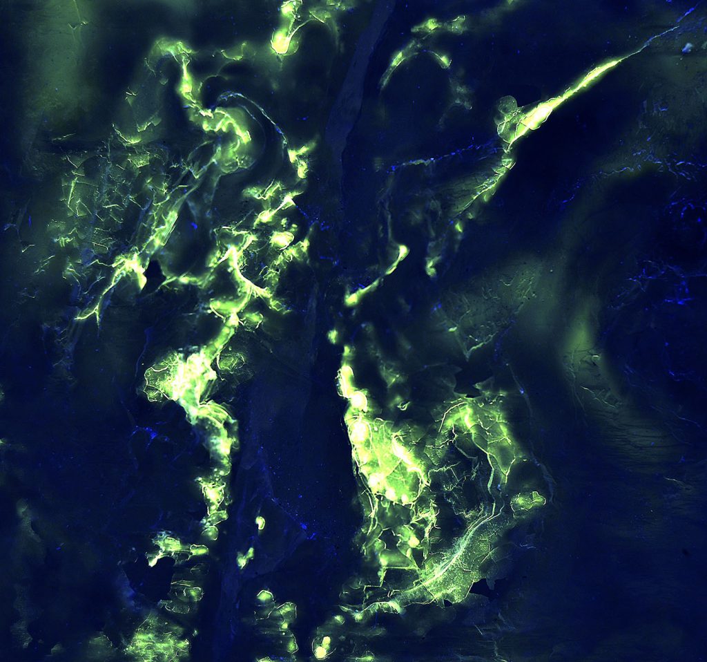 Colorado's Magnificent Fluorescent Quartz Point - Elegant Crystals & Gems